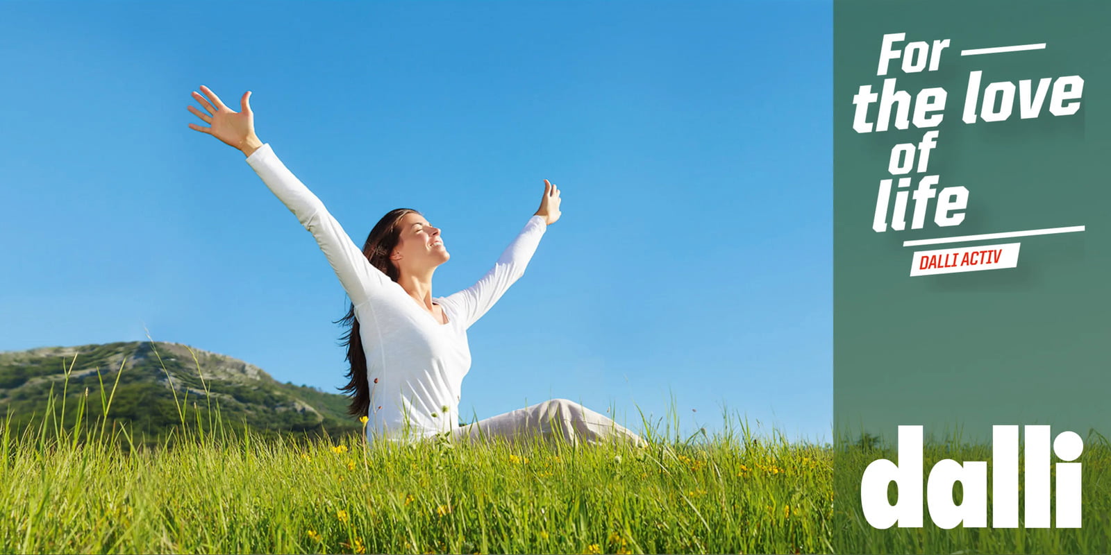 Detergent Powder| Stain remover for clothes | Dalli Germany